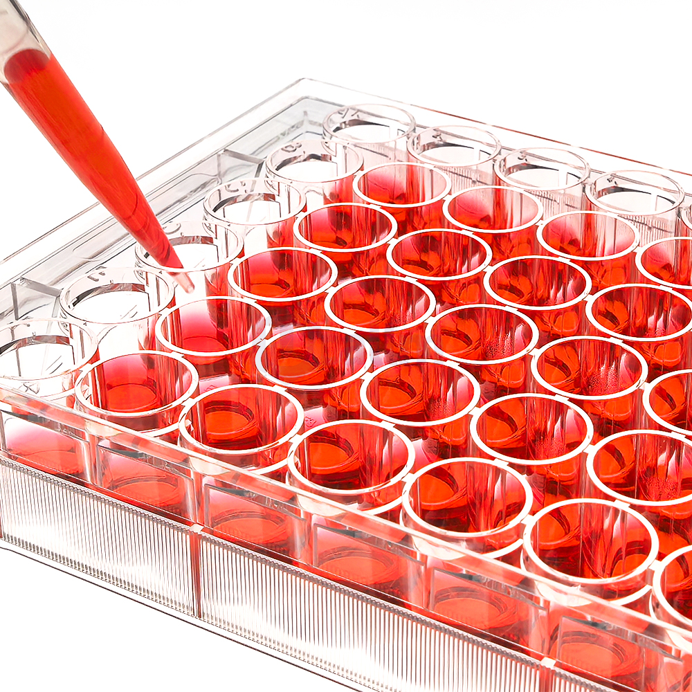 Ucell™ 48 Well Cell Culture Plate, Carboxyl, Clear, Flat bottom ...