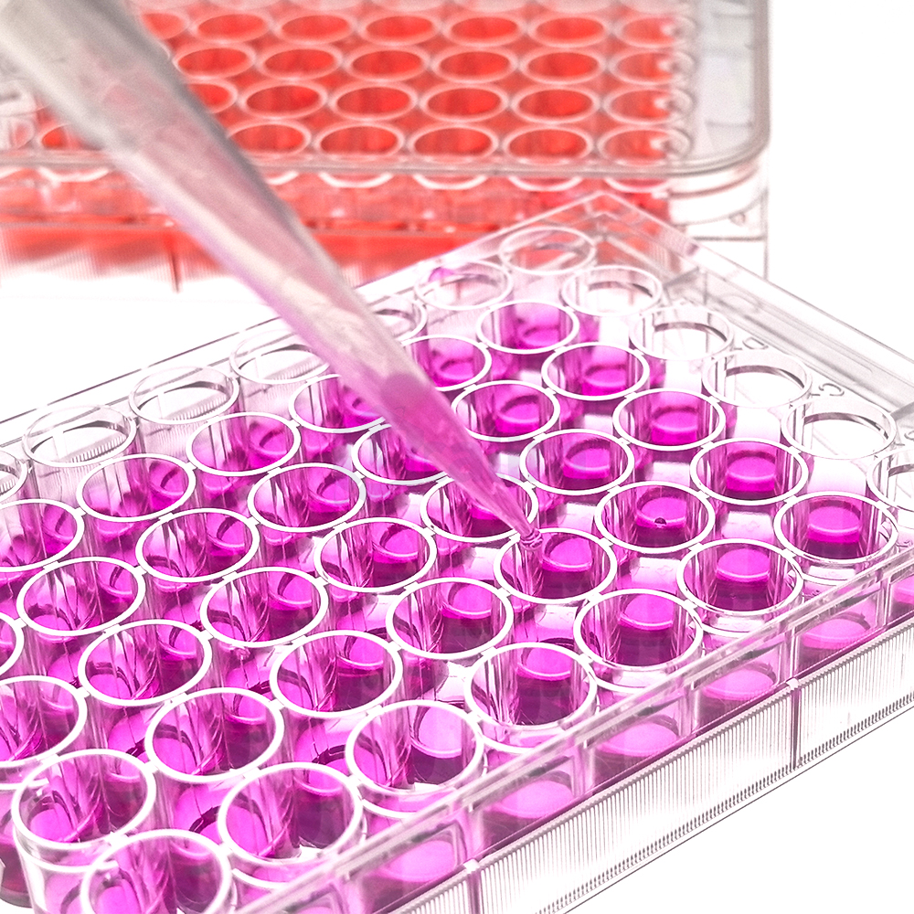 Ucell™ Well Cell Culture Plate, Collagen I, Flat-bottom, Clear, Sterile ...