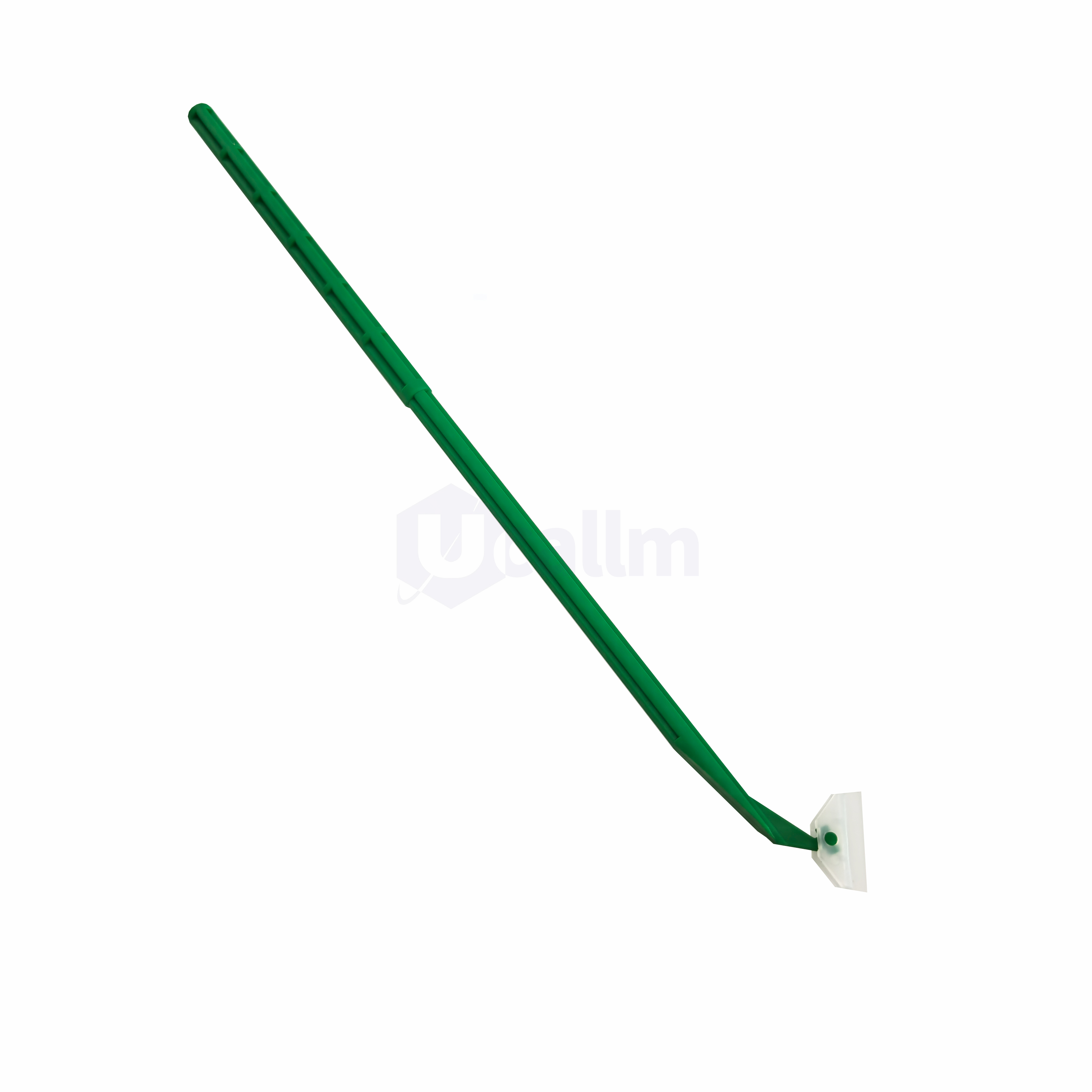 Cell Scraper, 25 cm, Green, Horizontal Placement of Blade and Handle ...