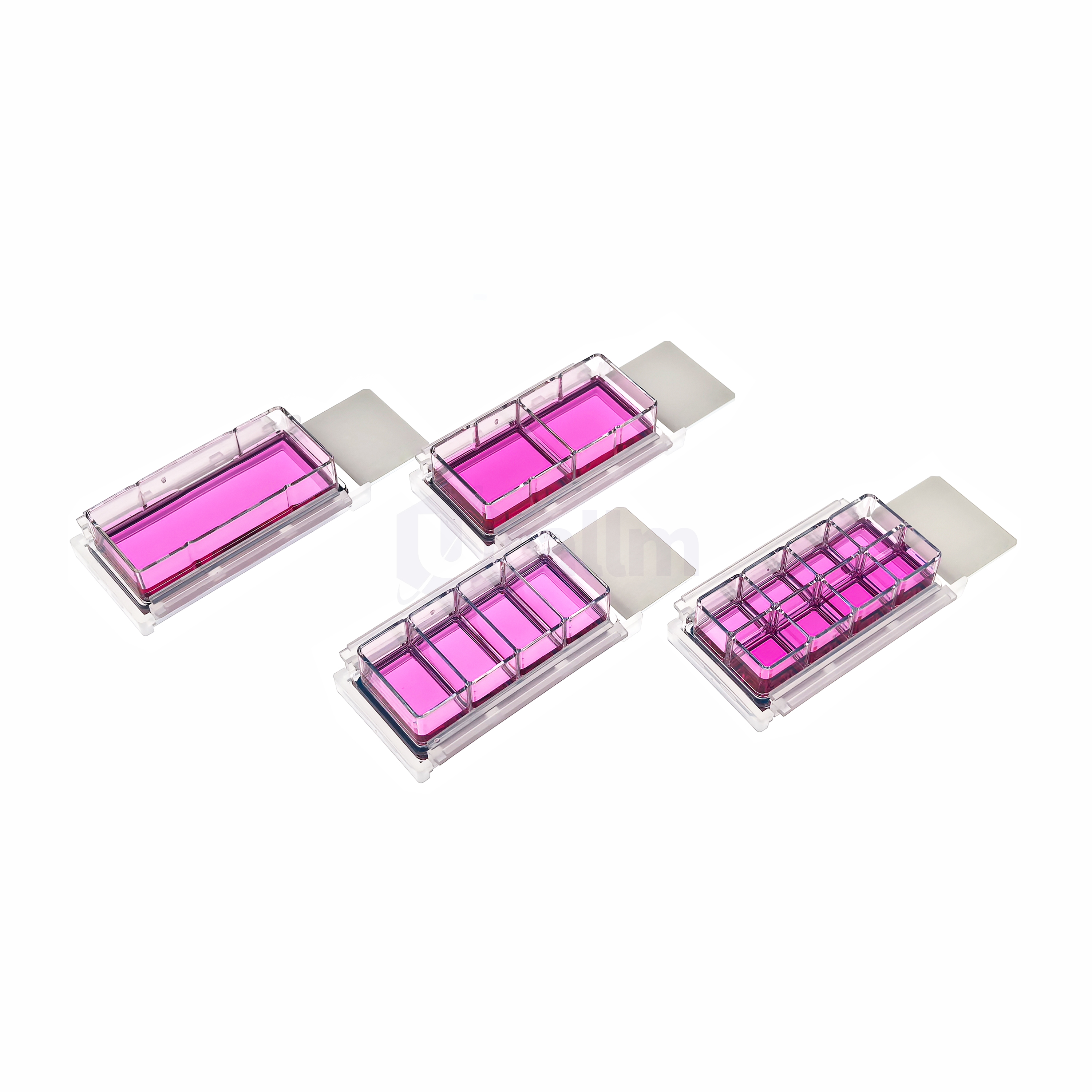 2-Well Chamber Slide - Ucallmlabs