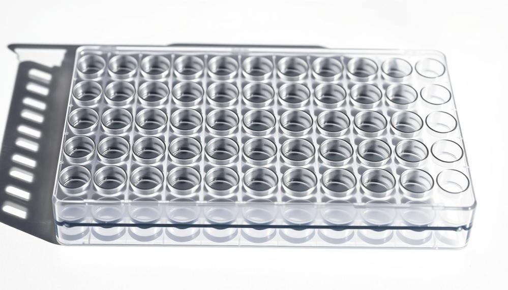 96 Well Plate Well Dimensions: Complete Guide & Specs