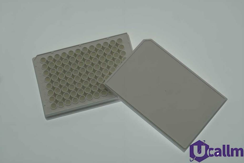 What are the dimensions of a 96 well plate?