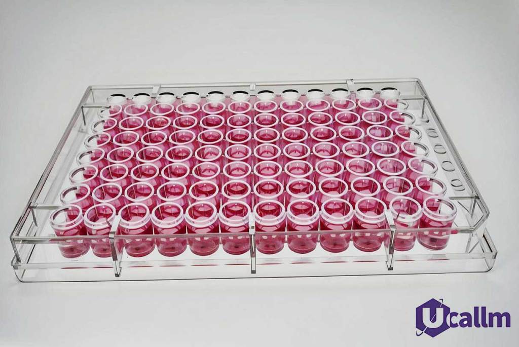 How to choose the right 96 well plate format for molecular biology ...