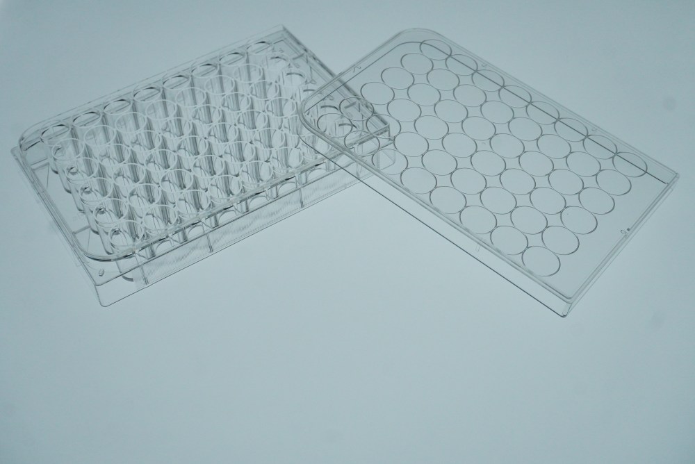 Optical Characteristics Of Transparent Well Plates