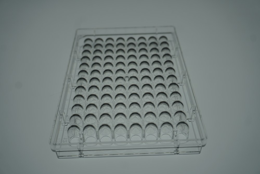 96 Well Plate Templates: Essential Lab Planning Tools
