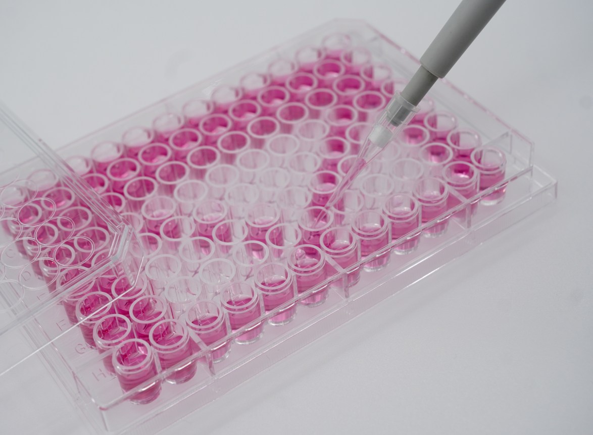 Cell Seeding: Definition and Process in Cell Culture