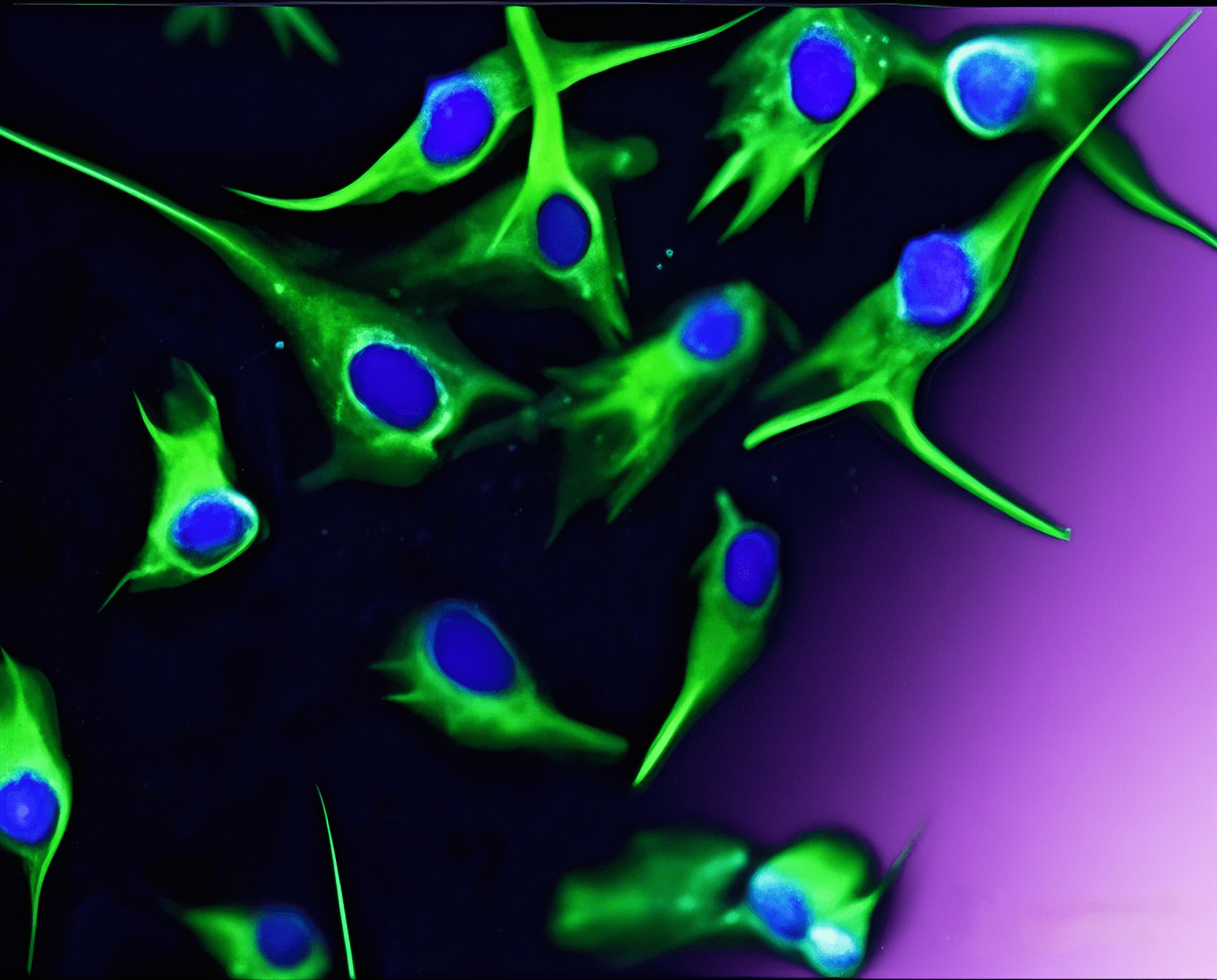 Isolation of Human Intrahepatic Biliary Epithelial Cells - Ucallmlabs