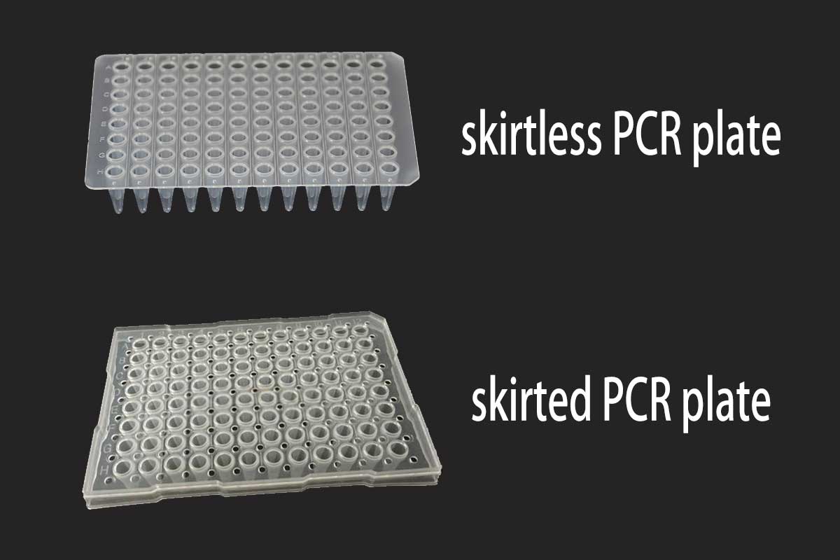 Skirted vs Non Skirted PCR Plate – Lab Guide 2024 - Ucallmlabs
