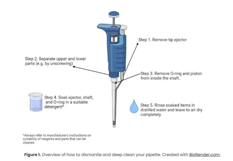 How Often Should You Clean Your Pipettes?