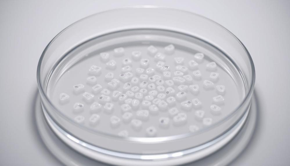 10cm Cell Culture Dish Surface Area for Lab Research
