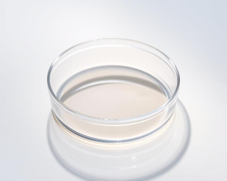 How Crucial Is an RNA - Free High - Quality Plastic Cell Culture Dish ...
