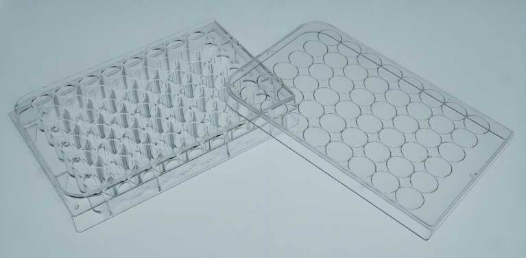 What Is a Well Plate: Laboratory Equipment Guide