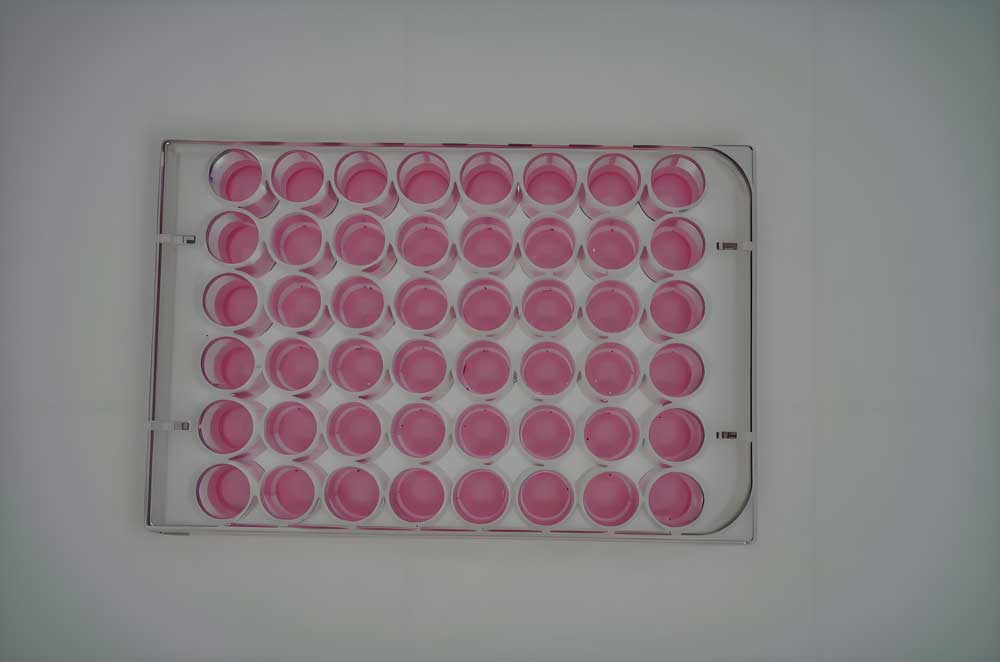 How to Select Premium 48-Well Plates for Labs? Key Considerations and ...