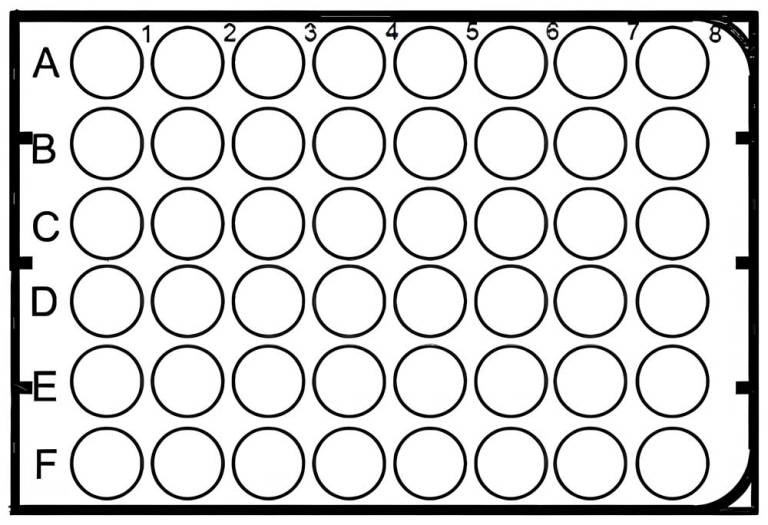 How to Select Premium 48-Well Plates for Labs? Key Considerations and ...