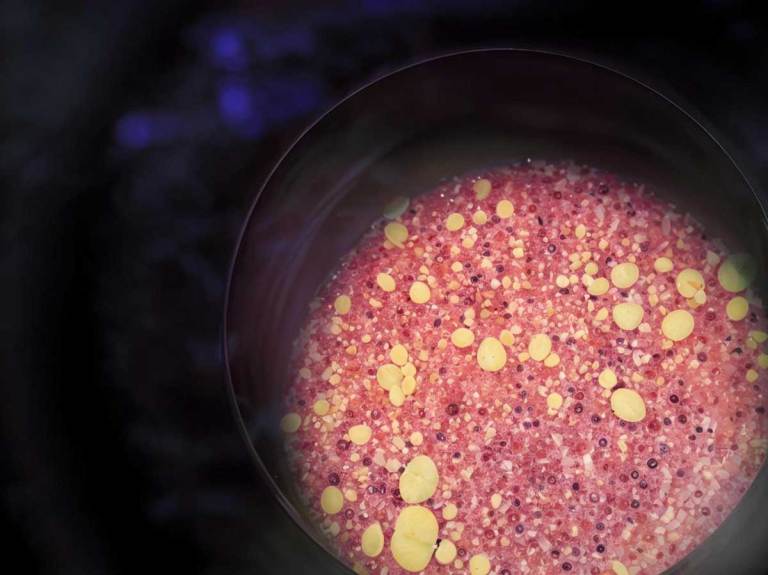 What is ground glass hepatocytes in hepatitis?