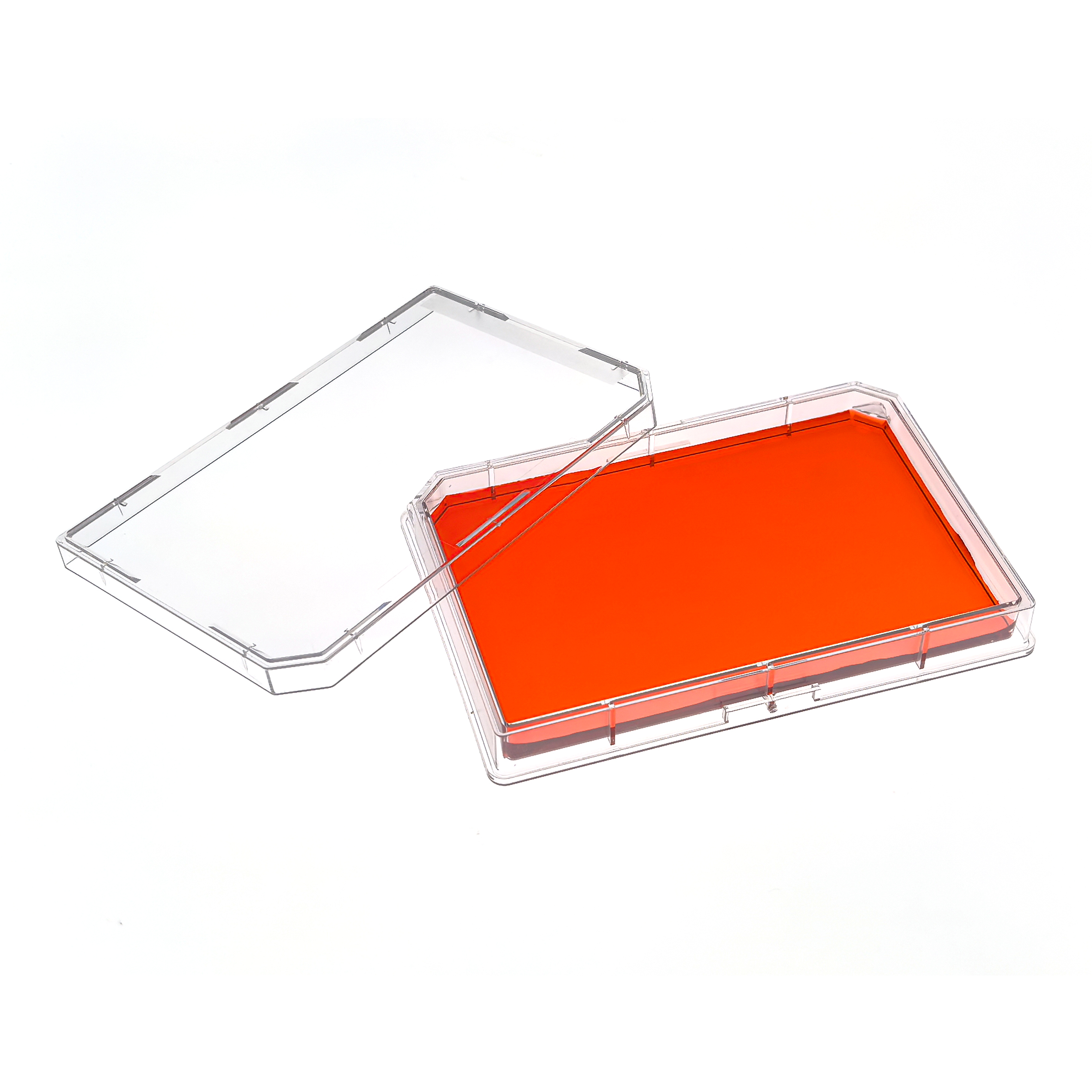 Ucell™ 1 Well Cell Culture Plate, Clear, Flat-bottom, Sterile - Ucallmlabs