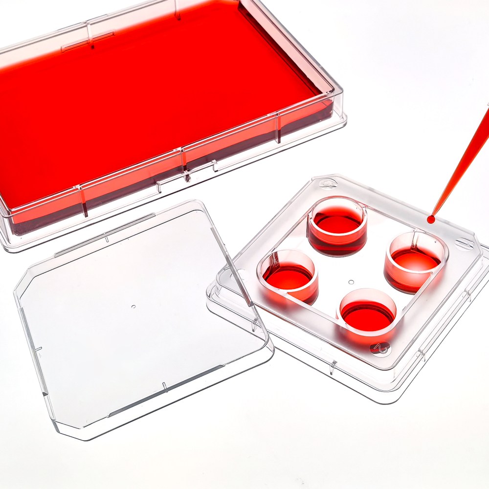 4 Well Cell Culture Plate, Flat-bottom, Clear, Sterile