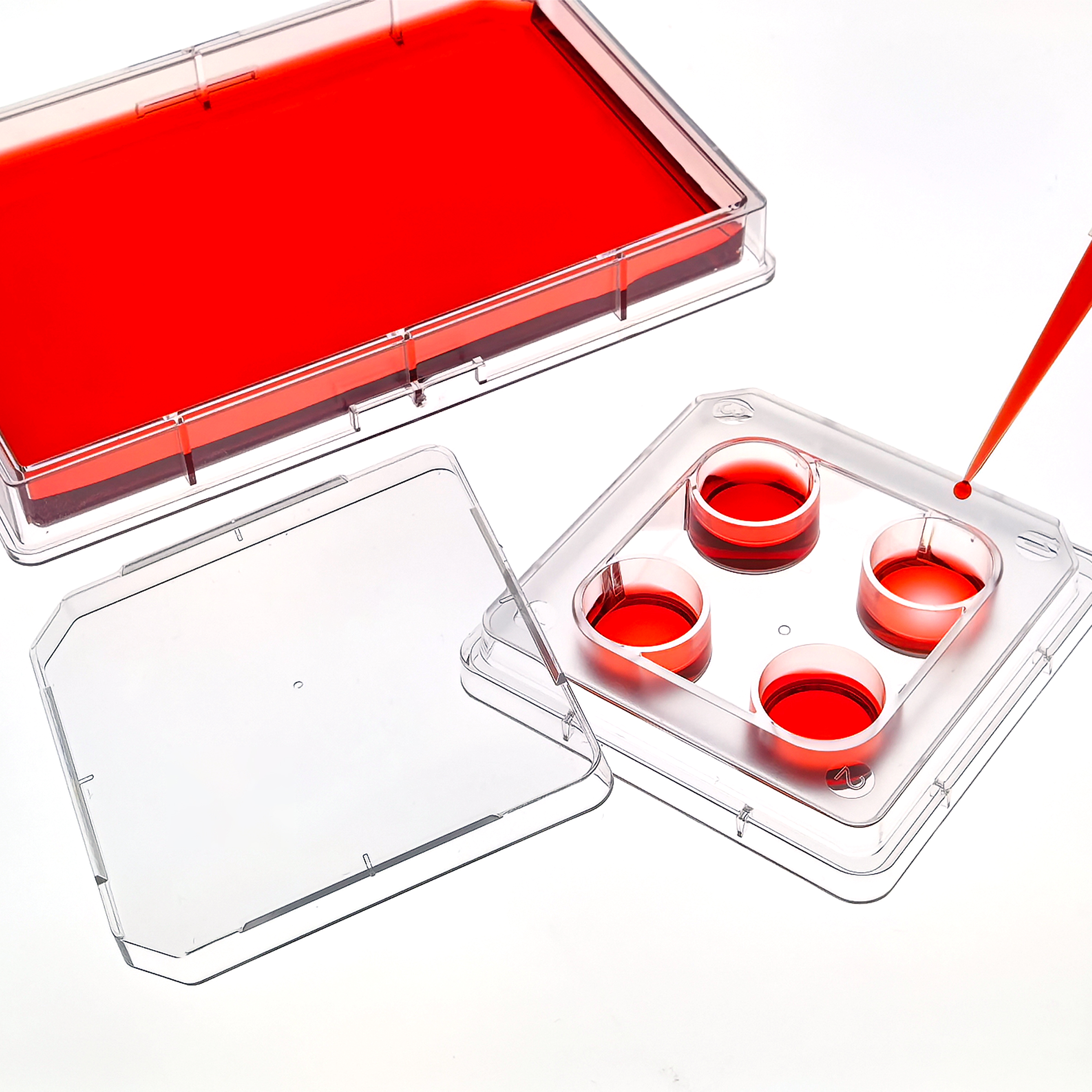 4 Well Cell Culture Plate, Flat-bottom, Clear, Sterile