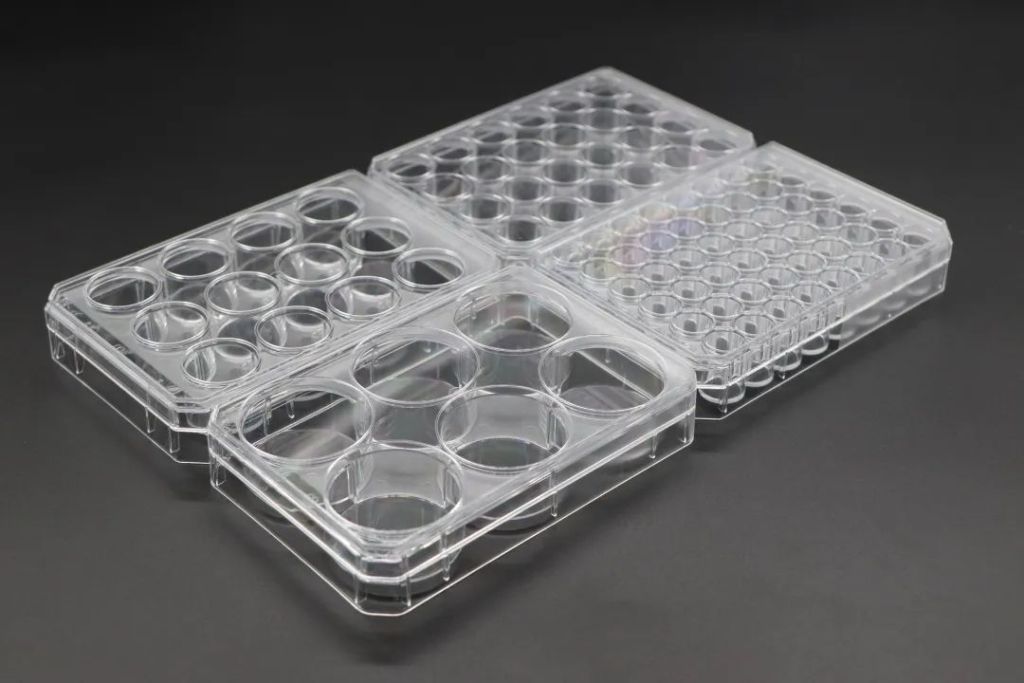 standard well plate dimensions - Choose the right multi well plate