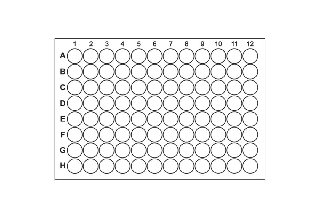 Standard Experimental Guide for Multi Well Plate Template