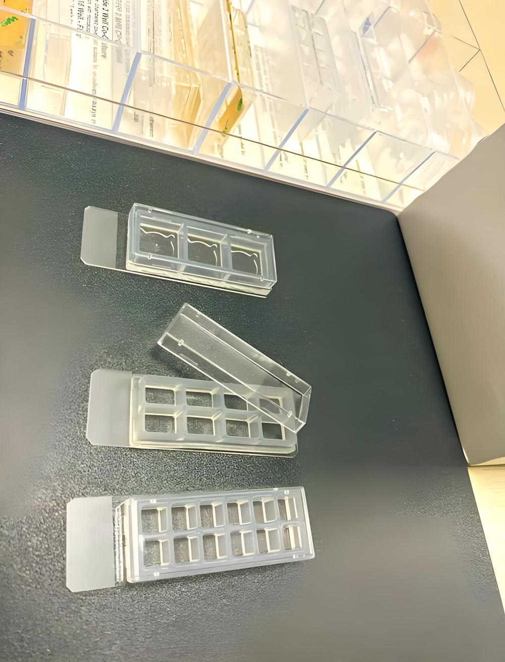 Optimizing Cell Staining Protocols with 8-Well Chambered Slides